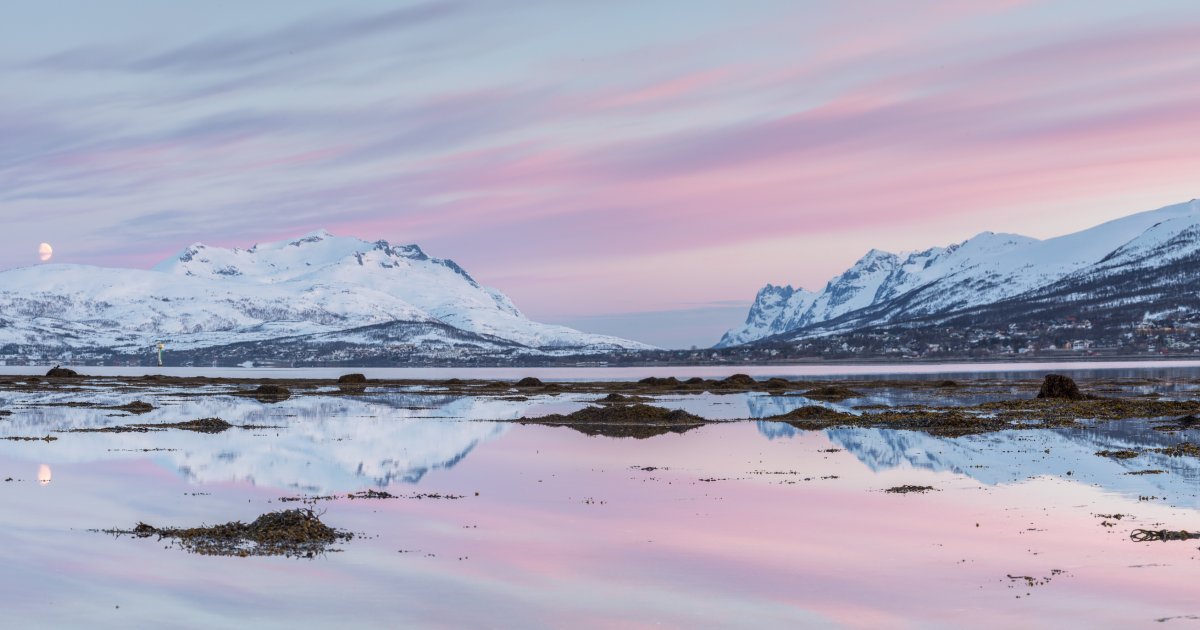 The AROME-Arctic weather model