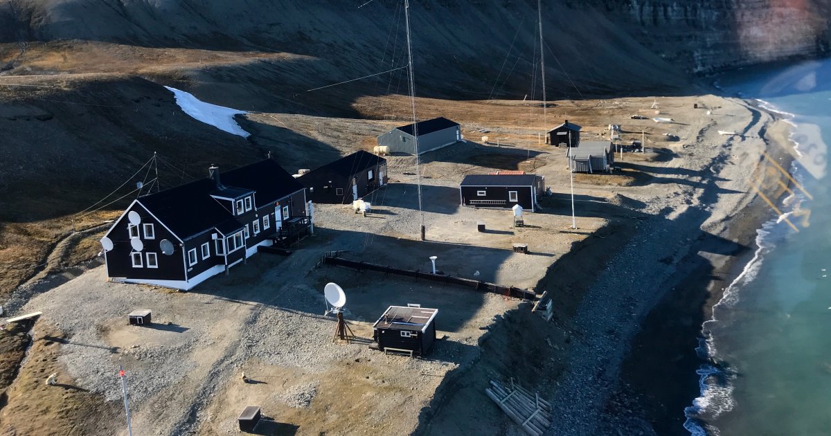 Hopen er sikret videre drift